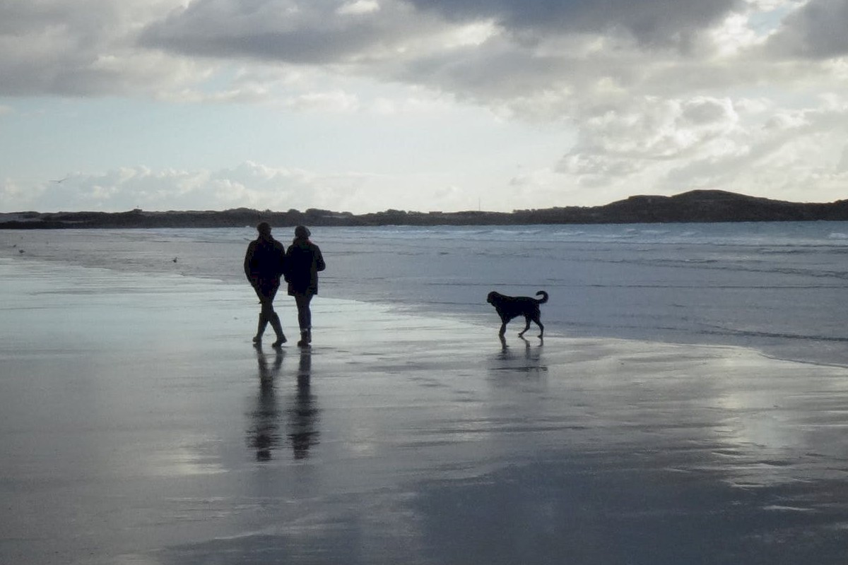 Get a Small and The Best LED Flashlight for Dog Walking - EcoGear FX